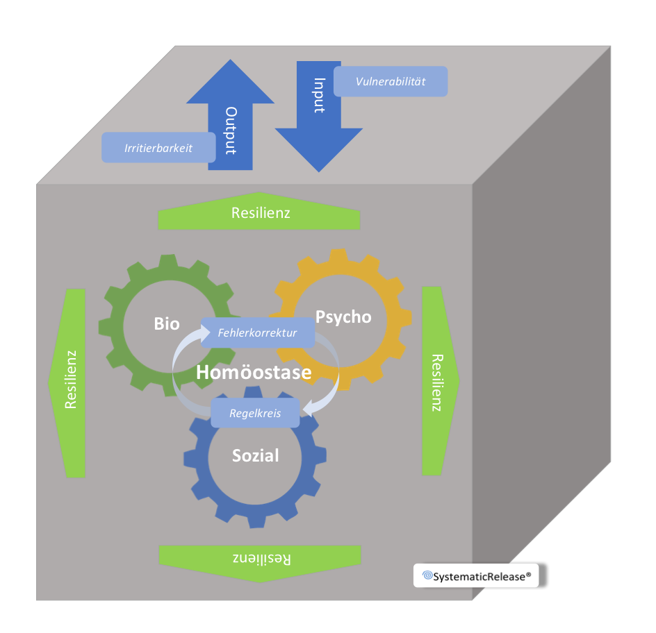 » Systemtheorie » SystematicRelease